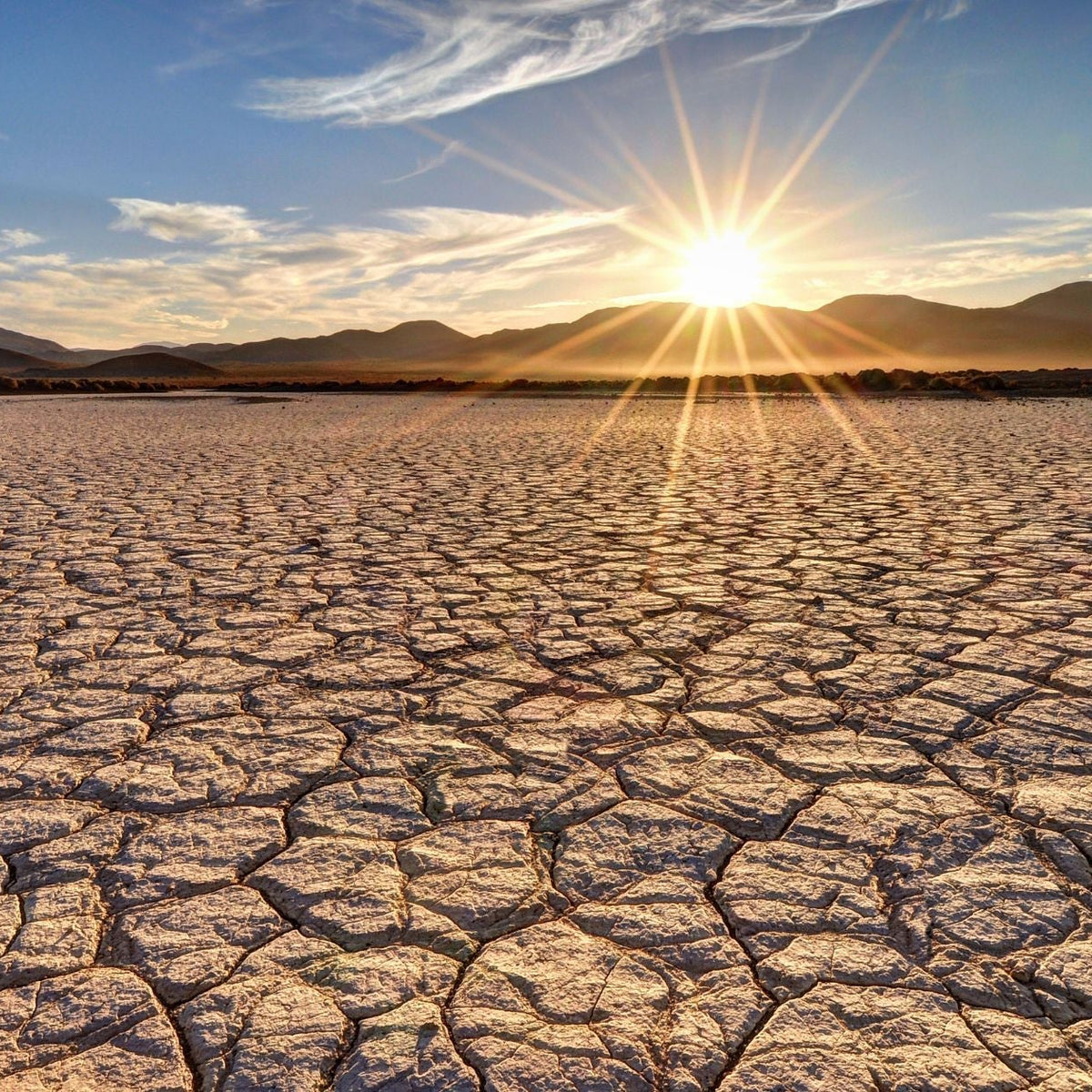 To Dry or Not to Dry? (Spoiler: Dry.) – 3DChimera